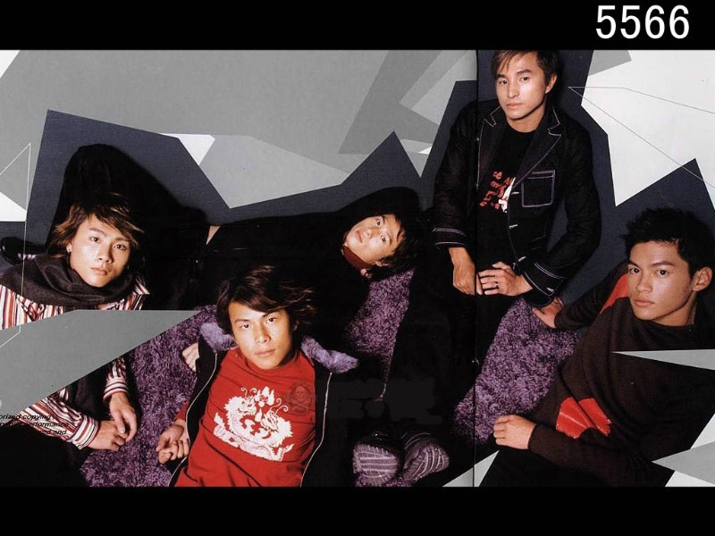 5566 壁纸4壁纸,5566壁纸图片-明星壁纸-影视图片素材-桌面壁纸