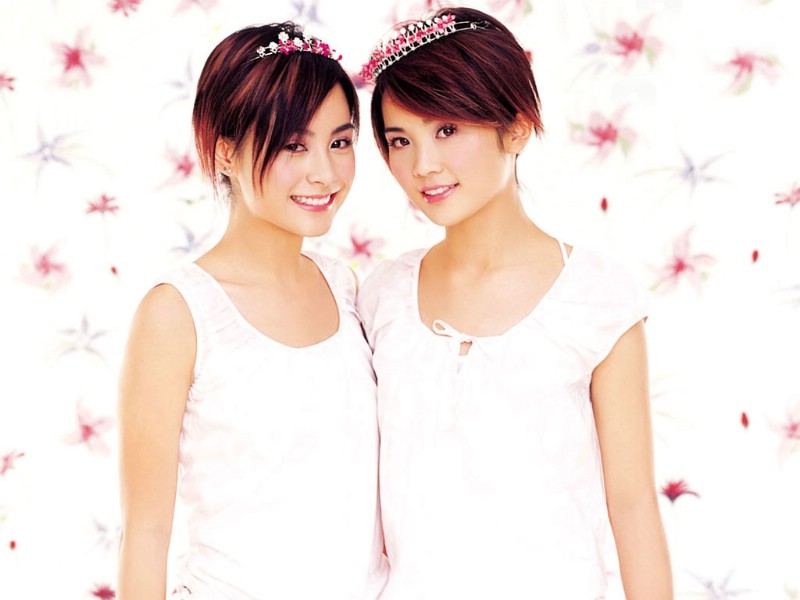 Twins 壁纸6壁纸,Twins壁纸图片-明星壁纸-影视图片素材-桌面壁纸